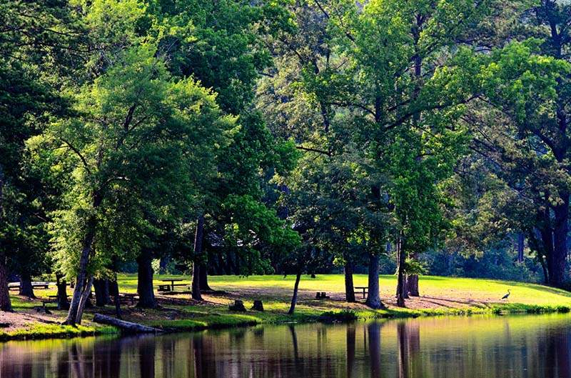 Payne Lake | Visit West Alabama