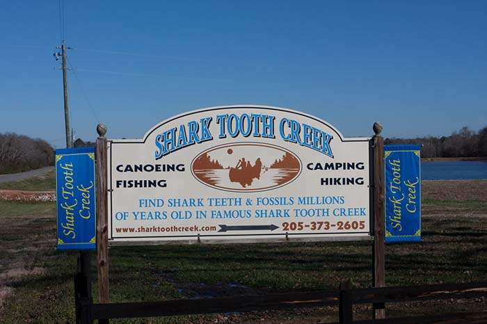 Shark Tooth Creek Outdoor Adventures | Visit West Alabama