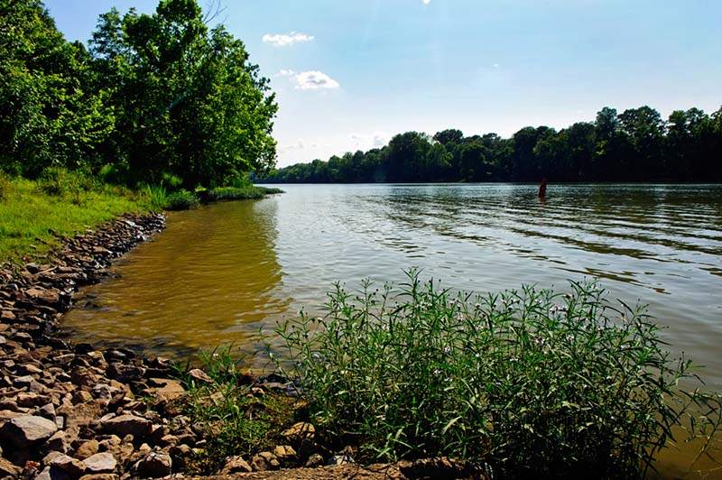 Lock 5 Park | Visit West Alabama